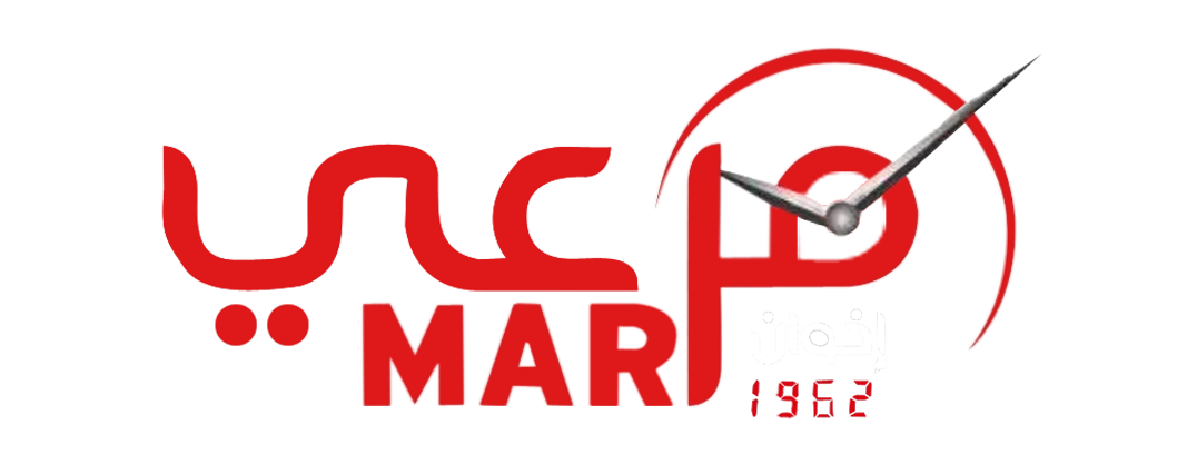 Mari Logo Online Store New Logo